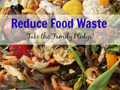Reduce Food Waste and Save Money - Take the Family Pledge!