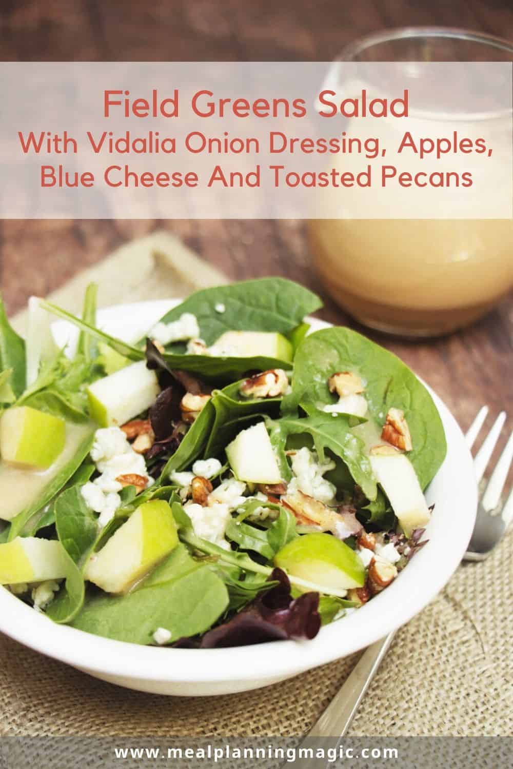 Field Greens Salad with Vidalia Onion Dressing, Apples, Blue Cheese and ...