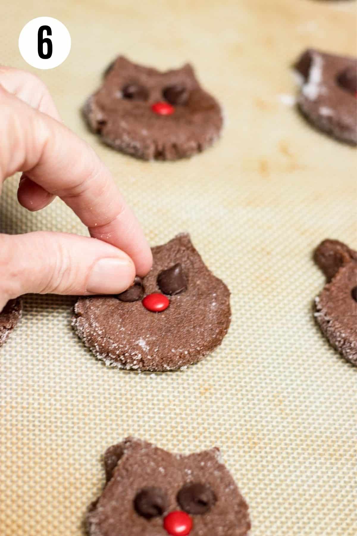 Chocolate Cat Cookies